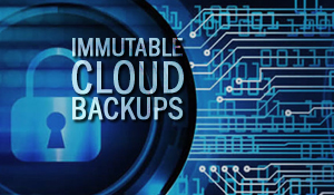 Benefits of Immutable Cloud Backups